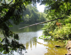 14 of the Best Hikes Near Bellingham, WA